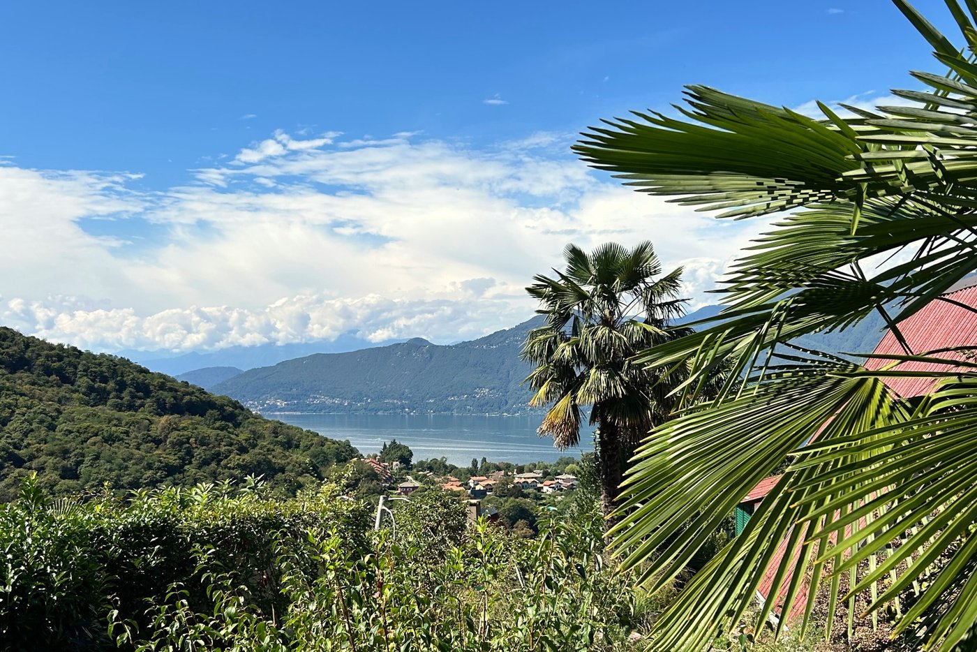 Workation at Burda: Workation with La Familia: Between laptop and La ...