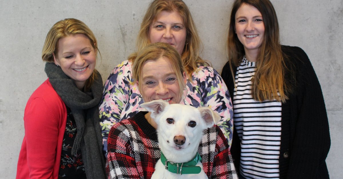 Series: Office dogs: Charlie | Burda News