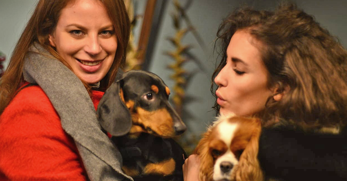 News: Office dogs: Emily & Enno